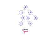 Binary Tree Implementation In Java Scaler Topics