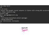 Python Torch Cuda Install