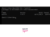 Python Torch Cuda Install