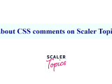 How Can We Write Comment Along With Css Code Scaler Topics