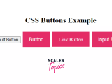 Button Css Scaler Topics