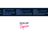 How To Create A Virtual Environment In Python Scaler Topics