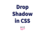 How To Add A Drop Shadow To An Image With Css Scaler Topics