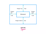 Css Margin Margin Property In Css Scaler Topics