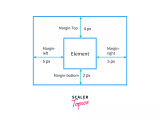 Css Margin Margin Property In Css Scaler Topics