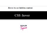 What Is The Hover Selector In Css Scaler Topics