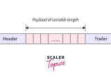 Difference Between Byte Stuffing And Bit Stuffing Scaler Topics