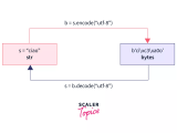 Encode In Python Encode Function In Python Scaler Topics