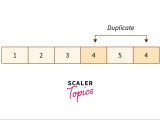 Find Duplicates In Array Scalar Topics