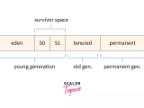What Is Garbage Collection In Python Scaler Topics