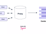 Proxy Design Pattern Scaler Topics