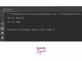 How To Run Python Program Scaler Topics