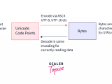 Encode In Python Encode Function In Python Scaler Topics