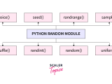 Python Random Module Scaler Topics