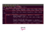 Linux Networking Commands Scaler Topics