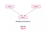 How To Define Inheritance In Java Scaler Topics