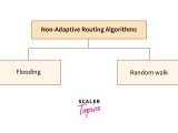 Routing Algorithms In Computer Networks Scaler Topics