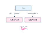 C Fork Function Scaler Topics