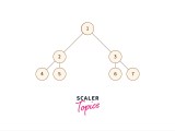 Binary Tree In C Types And Implementation Scaler Topics