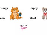 Polymorphism In Python Scaler Topics
