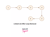 Detect And Remove Loop In A Linked List Scaler Topics