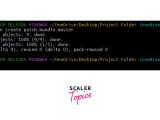 Git Bundle Scaler Topics