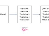 Readlines In Python Scaler Topics