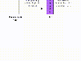 Reverse A Number In Python Scaler Topics