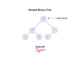 Types Of Binary Tree Scaler Topics