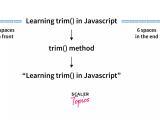 How To Give Trim In Java At Charli Blamey Blog
