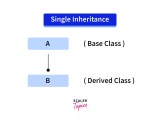 Inheritance In C Scaler Topics