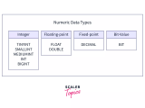 Numeric Data Type Sql Scaler Topics