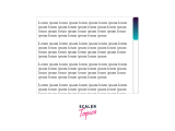 How To Style Scrollbar With Css Scaler Topics