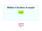 How To Use The Css Checked Selector Scaler Topics