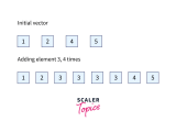 C Vector Insert Function Scaler Topics