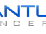 Scam Broker Investigator Quantum Code Review Warning