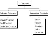 C Constant