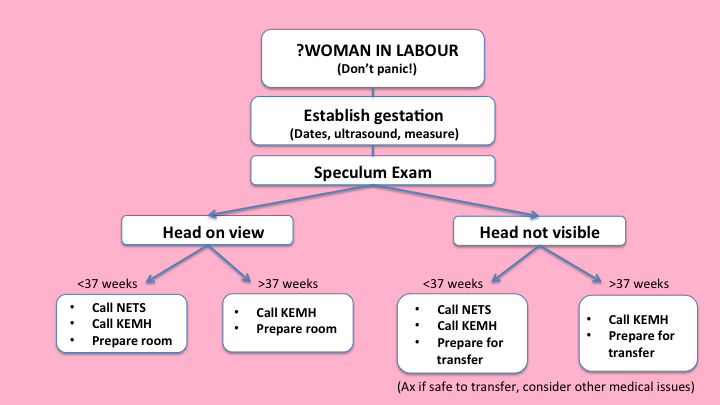 Obstetric patients at SCGH - Charlie's ED