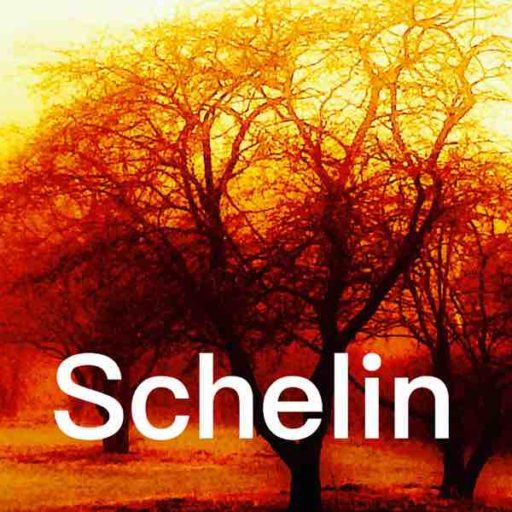 Schelin – The Grumpy old man and family.