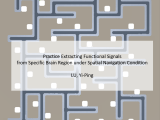 Visualization Of Functional Connectivity From Multiple Neuroimaging