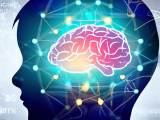 Visualization Of Functional Connectivity From Multiple Neuroimaging
