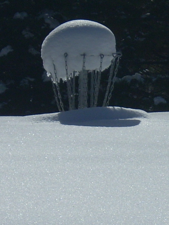 Discmasters – School of Disc Golf