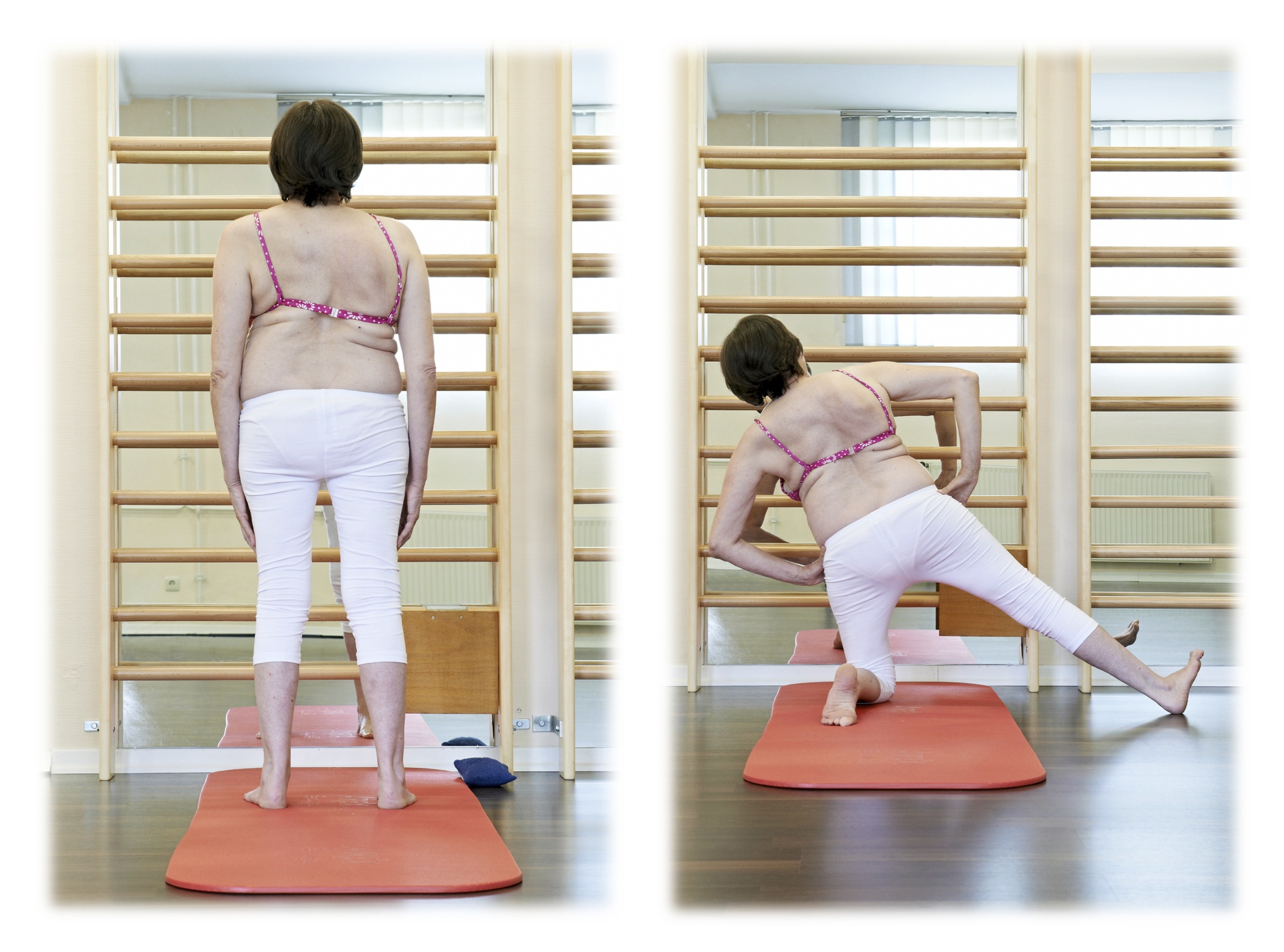 Schroth Best Practice Academy