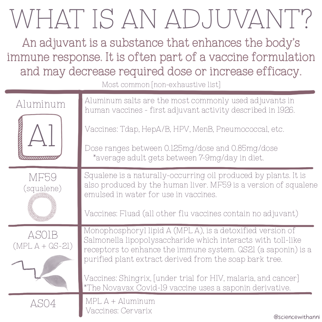 What is an Adjuvant? – Science With Anni
