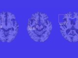 Reinforcement Learning Matlab Matlab Deep Learning For Wireless