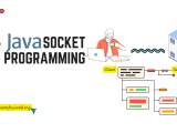 Socket Programming In Java Scientyfic World