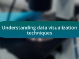 My Experience With Data Visualization Techniques Scimagdev Org