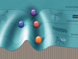 Simulating Evolution To Understand A Hidden Genetic Switch