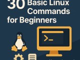 30 Basic Linux Commands For Beginners With Simple Examples