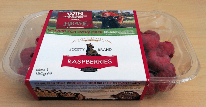 Scotty Brand Raspberries in a Raspberry Trifle with Double Cream ...